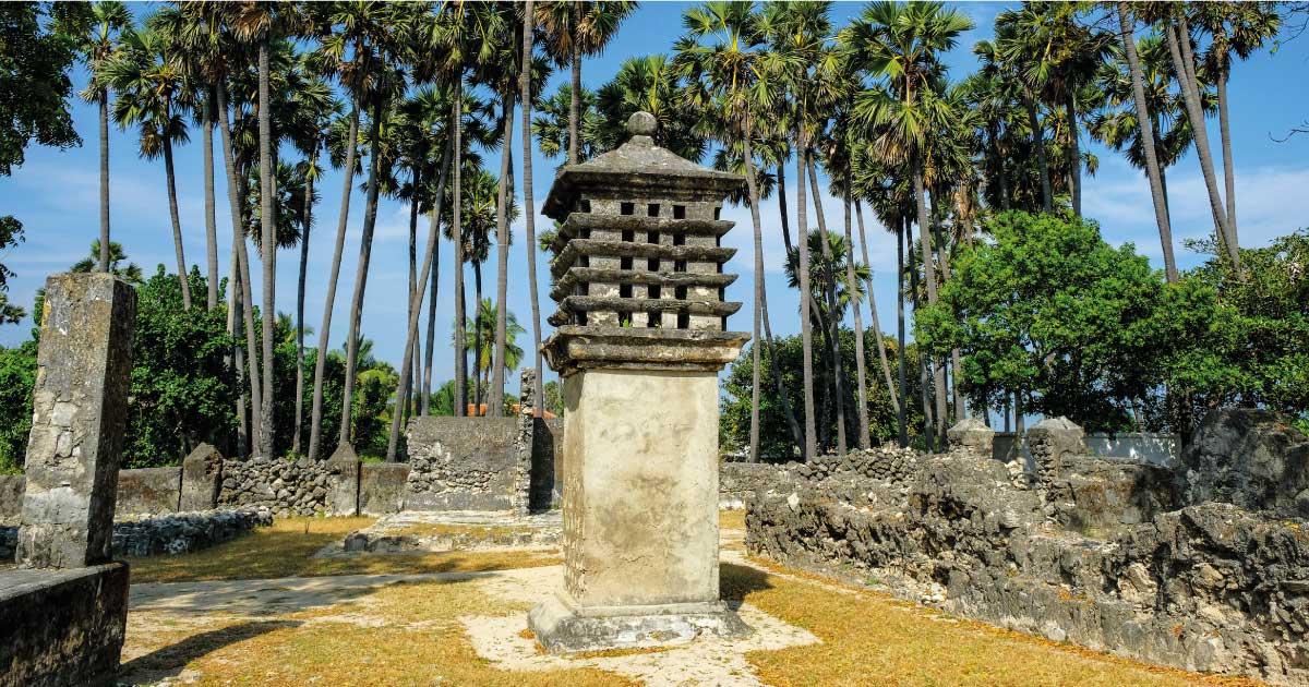 Island tour to Delft, Soul Sri Lanka, Tour Company in Colombo, Holiday ...